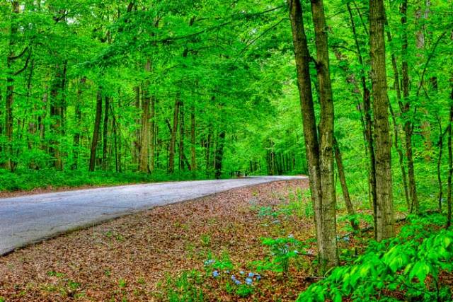 Moraine View State Park - Bloomington-Normal, Illinois