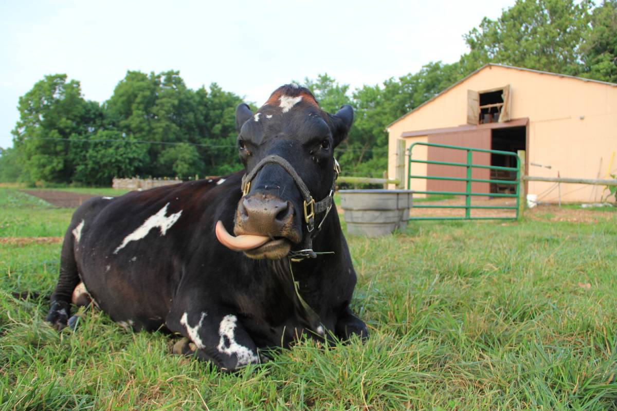 Epiphany Farms Hospitality Group - Bloomington-Normal, Illinois