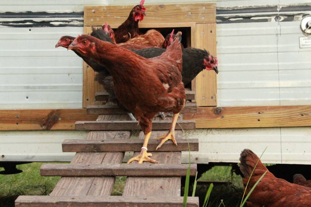 Epiphany Farms Hospitality Group - Bloomington-Normal, Illinois