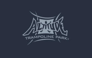 Altitude Trampoline Park - Bloomington-Normal, Illinois