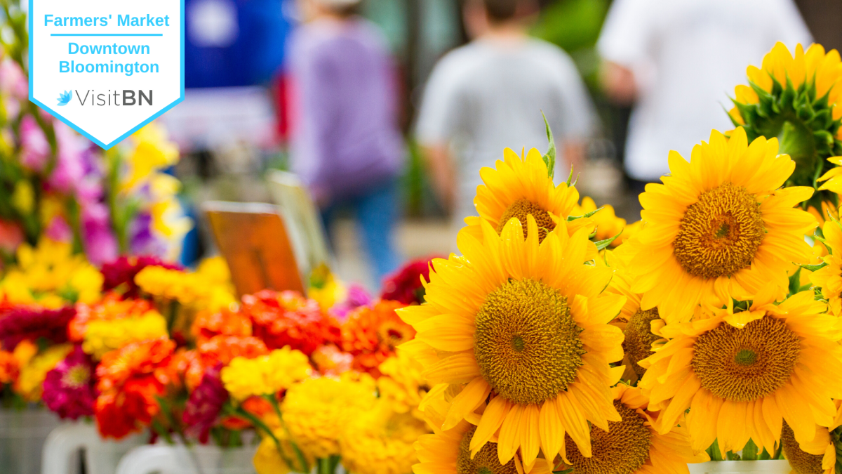 15 Free Summer Activities in the Bloomington-Normal Area - Bloomington ...