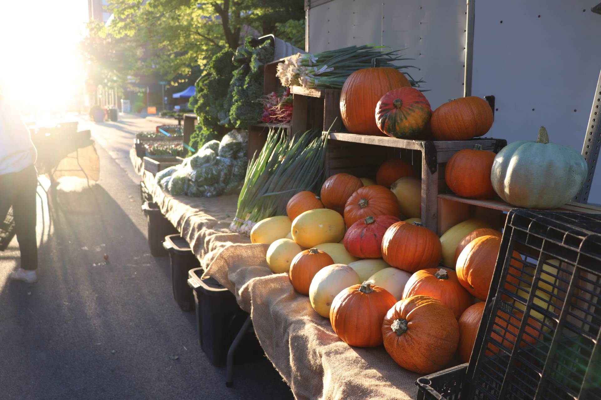 Bloomington-Normal's Family-Friendly Fall Events - Bloomington-Normal ...