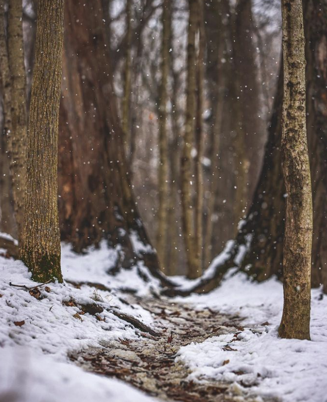 Welcome to Bloomington-Normal, Illinois