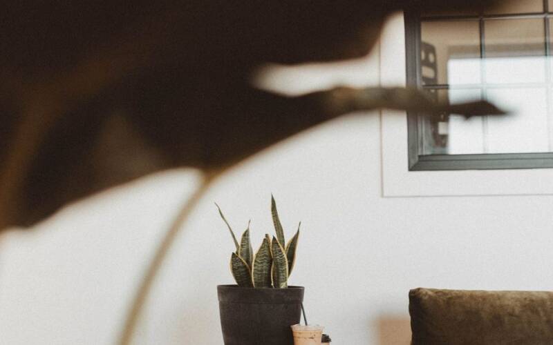 LVL Up Coffee Bar - Bloomington-Normal, Illinois