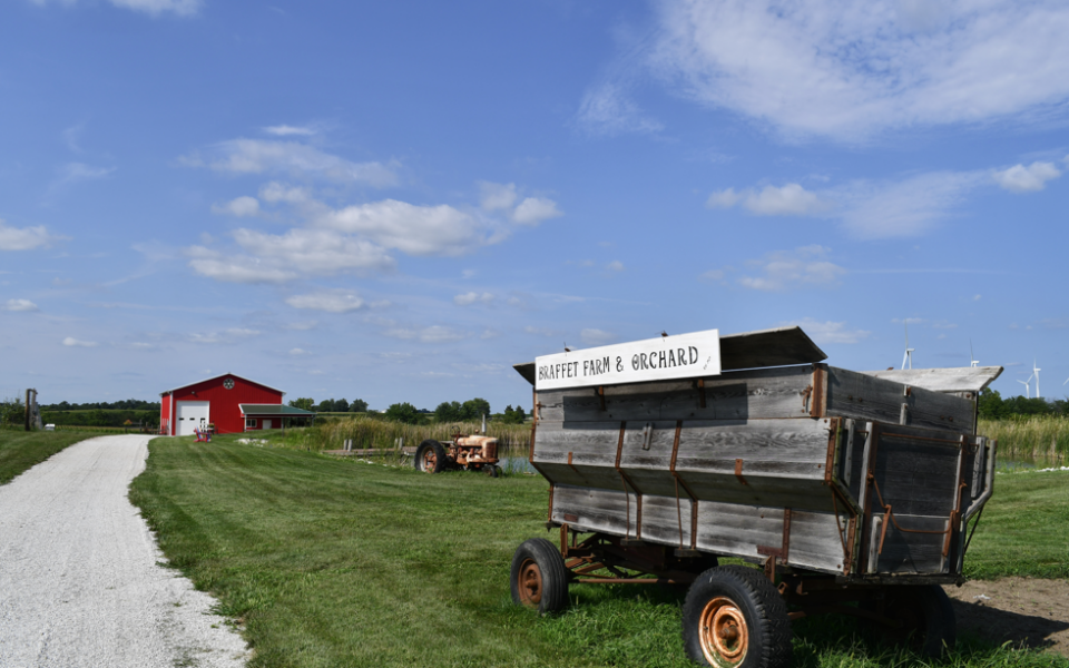Braffet Berry Farm & Orchard - Bloomington-Normal, Illinois