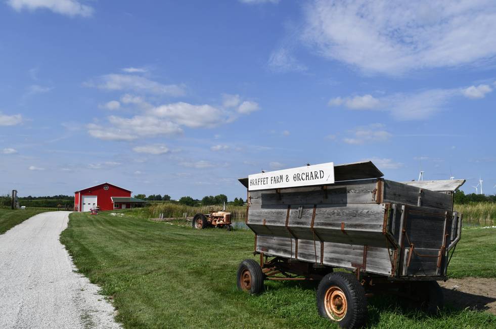 Braffet Berry Farm & Orchard - Bloomington-Normal, Illinois