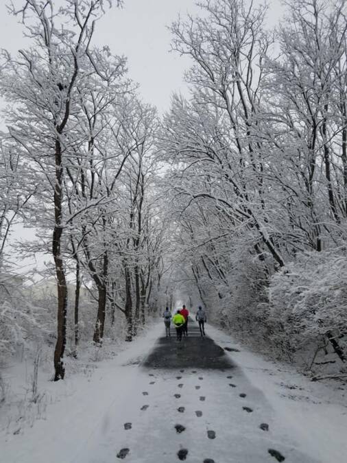 Your Winter Getaway Awaits in Bloomington-Normal, Illinois ...
