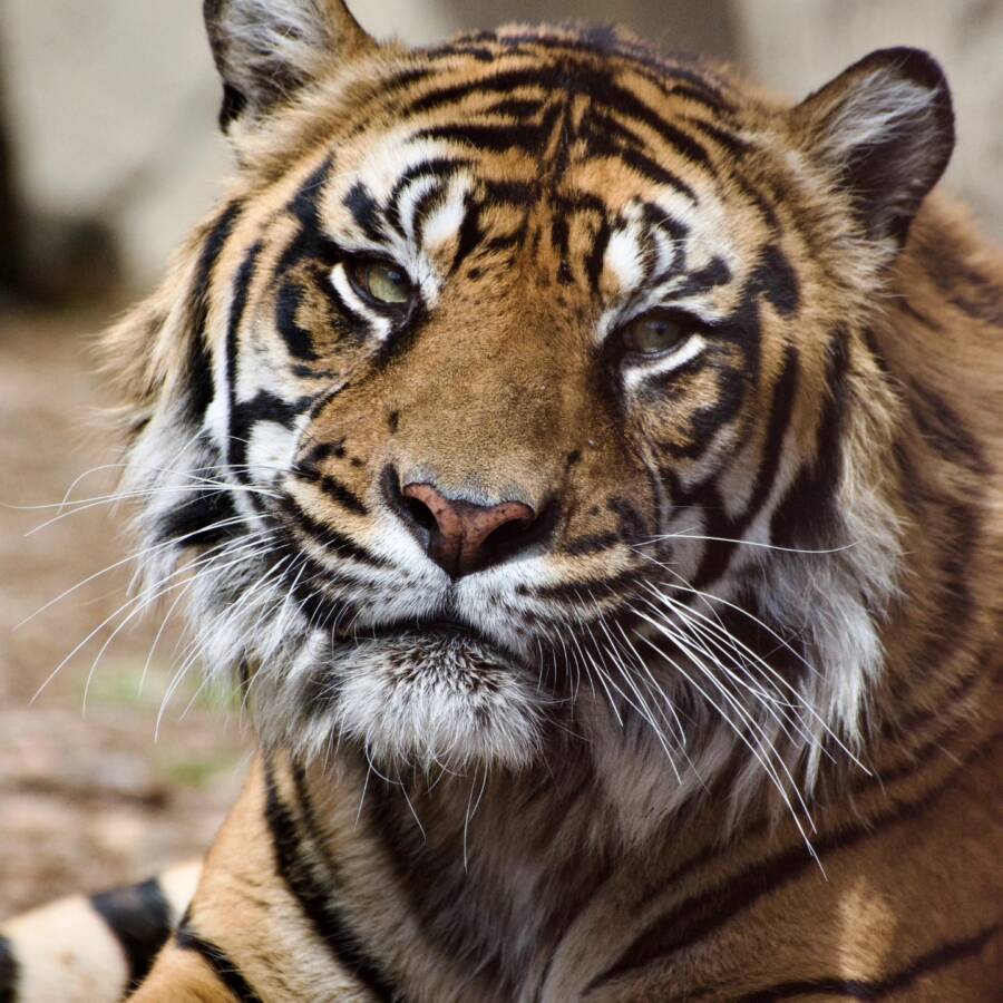 Family Trip: A 2-Day Interary - Bloomington-Normal, Illinois